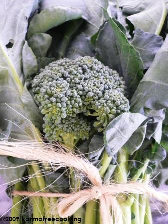 Siembra Tres Vidas – Puerto Rico’s first CSA Farm | KarmaFree Cooking