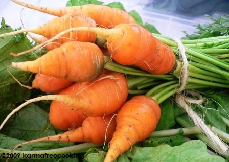 Siembra Tres Vidas – Puerto Rico’s first CSA Farm | KarmaFree Cooking