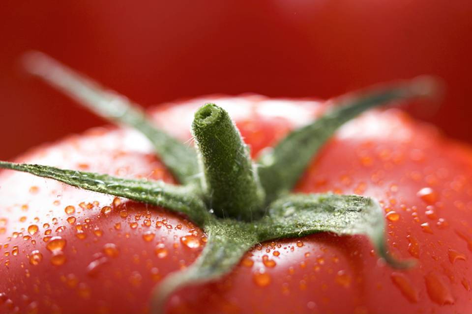The Shape of Foods Help our Organs?? – TOMATO | KarmaFree Cooking